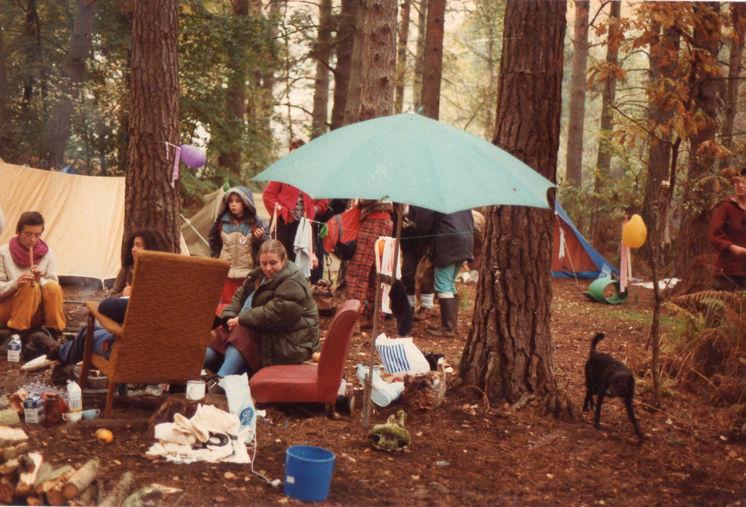 Camp Life - Common Ground : Common Ground